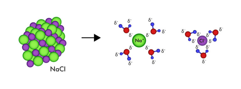 SOLVANTS : TYPES, USAGES ET IMPORTANCE DANS LES SCIENCES - Labbox France